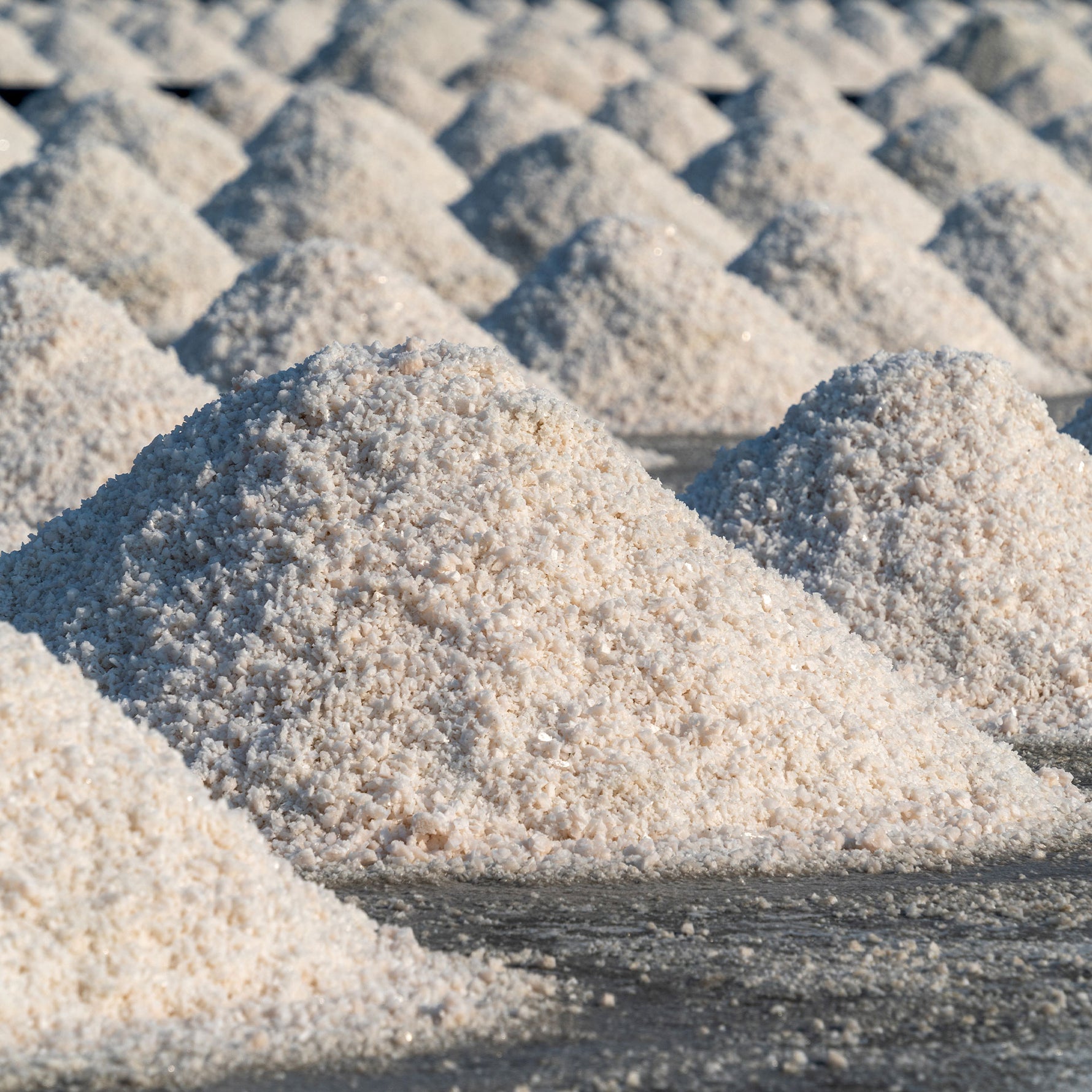 The Sand Bag Co - UK Delivery of Pre-filled Sand Bags